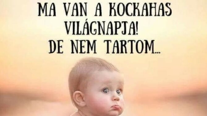 Kockahas? Ugyan már! - MIZU MISKOLC